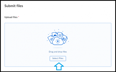 How to Use the New Box File Request Feature